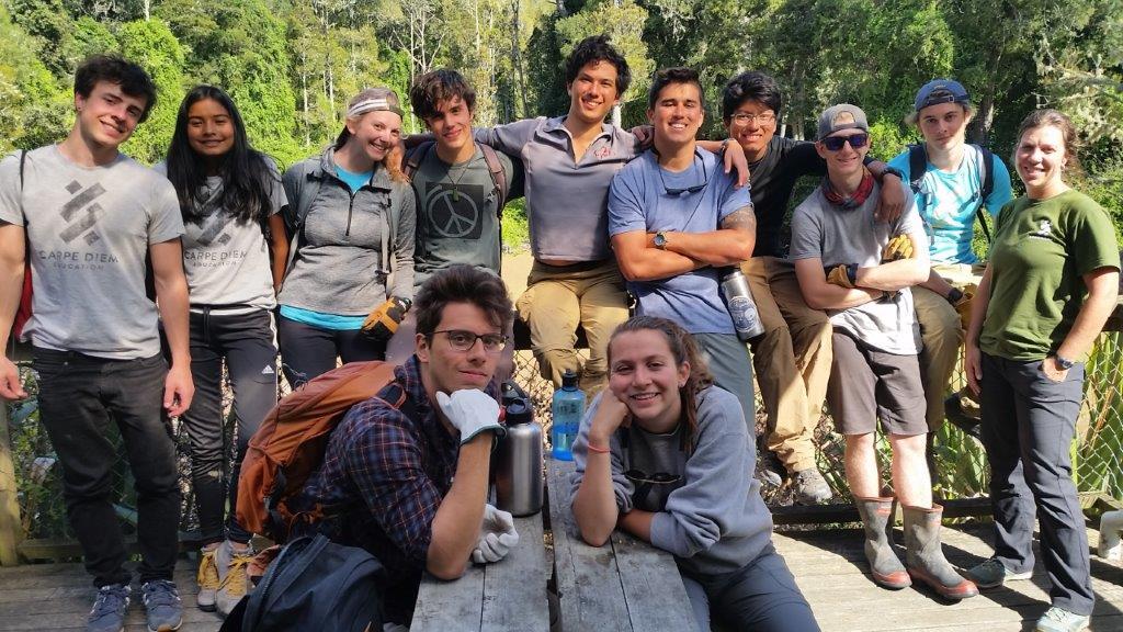 The Family Farm in Mangarara - International Gap Year Programs | Carpe ...