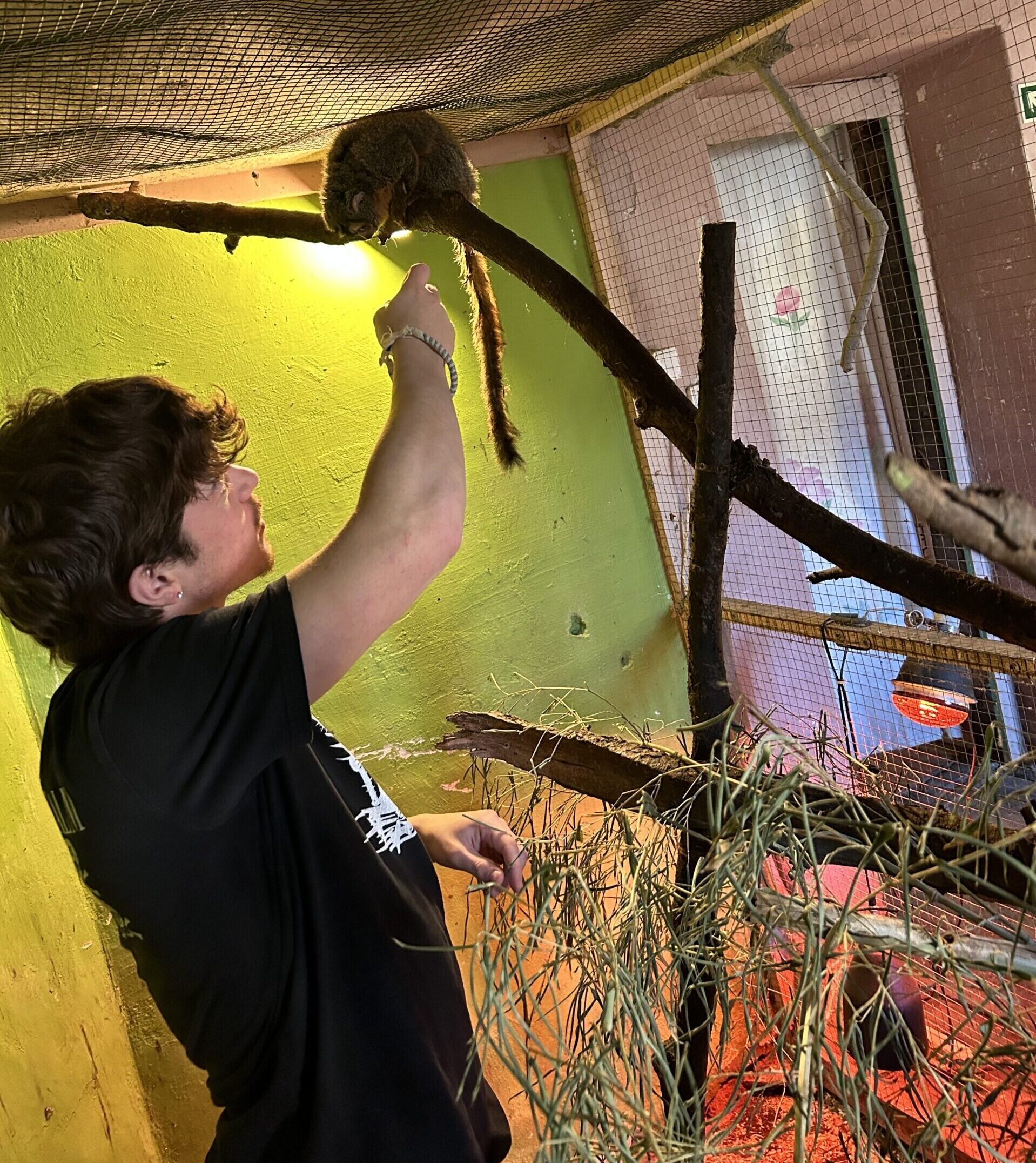 Adventures in a Small Zoo in Rural Hungary: Shloimy's Latitudes Year ...